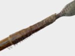 Rare 19th century Zulu short Iklwa spear - Antique Swords and Weapons ...