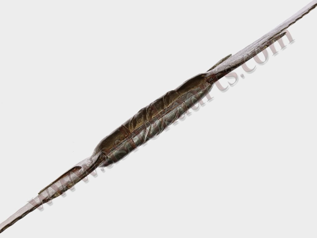 Indian Zulfiqar Haladie with serrated blades - Antique Swords and ...