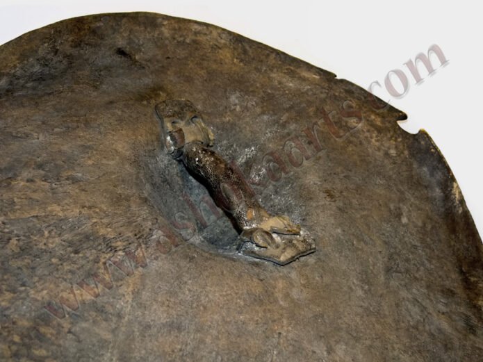 Sudanese shield made of elephant hide. Mahdist sudan shield