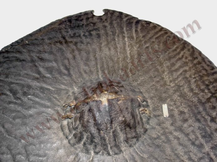 Sudanese shield made of elephant hide. Mahdist sudan shield
